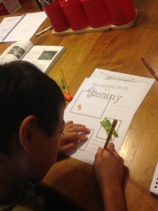 Exploring Creation with Botany | Leaping Into Learning